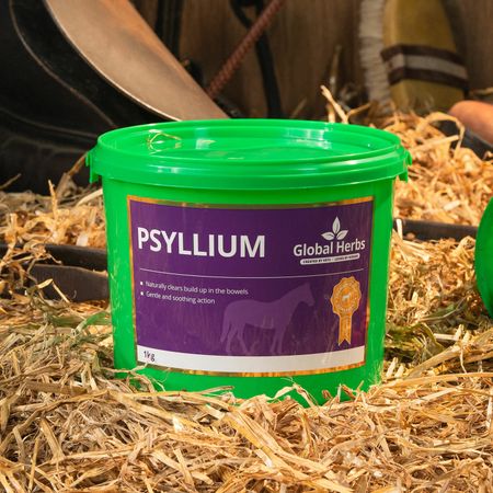 GLOBAL HERBS PSYLLIUM from £28.03