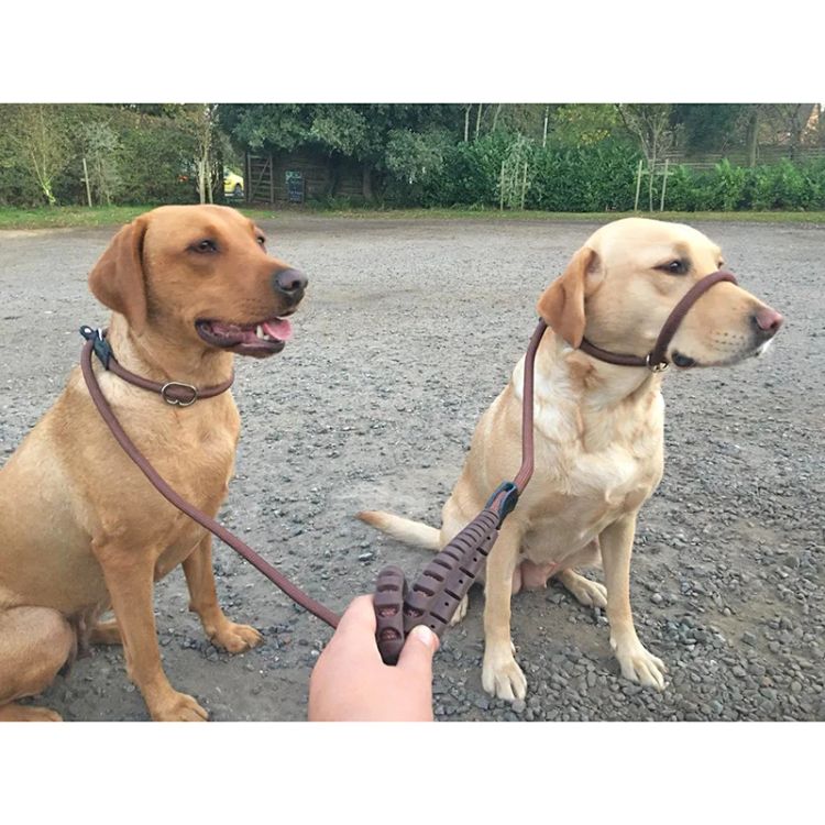 Miro & Makauri Figure 8 Slip Dog Lead With Regular Grip Handle from £5.18